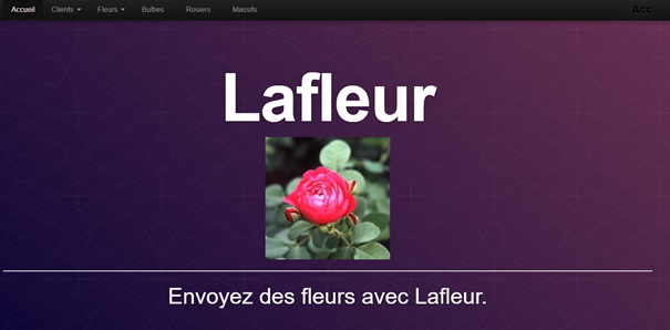 Portfolio Nadjar Gamliel